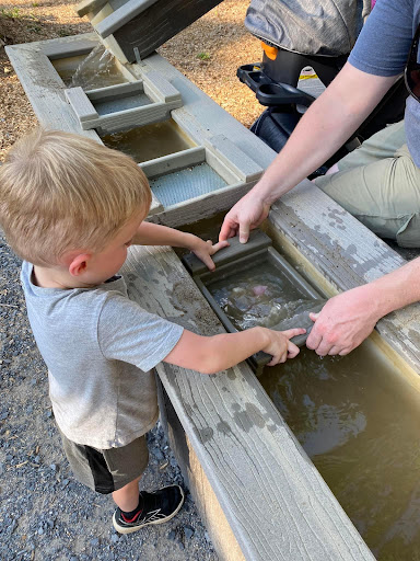 411 River Rest Campground - 10654 US-411, Chatsworth, Georgia - Zaubee