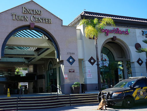 Encino Town Center