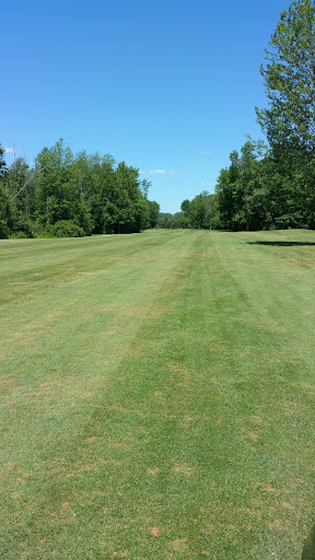 Golf Course «Michigan Meadows Golf Course», reviews and photos, 4575 ...
