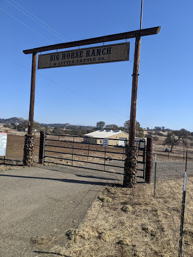 Big Horse Ranch in Ione, California - Zaubee