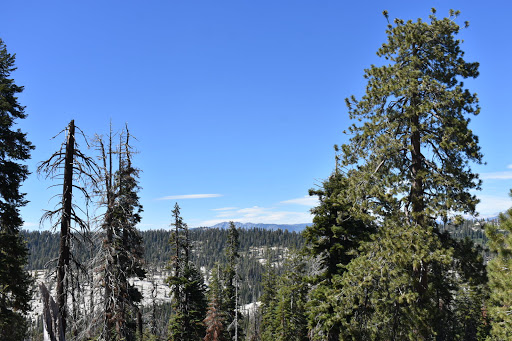 Jennie Lakes Wilderness - AZexplained