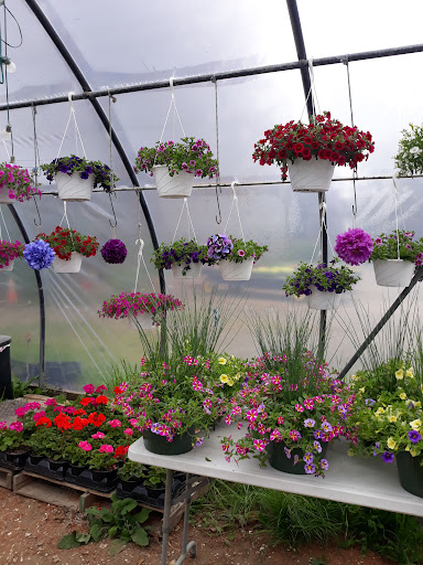 Fales Farm - AZexplained