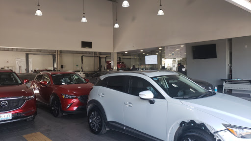 Mazda Tijuana in Rio Tijuana 3ra Etapa, Tijuana, Baja California - Zaubee