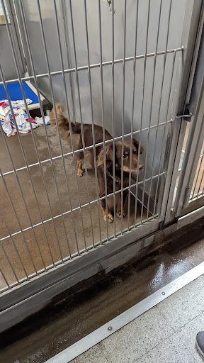 Central California SPCA - AZexplained