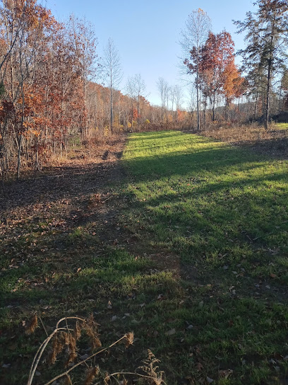 Spartan Hunting Preserve in Grandview, Tennessee - Zaubee