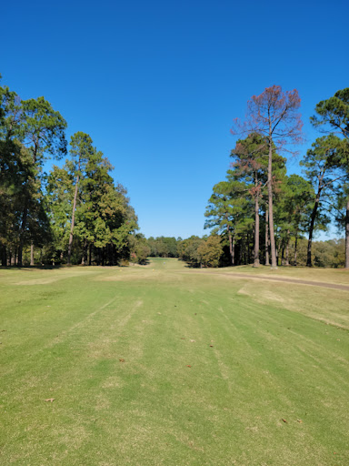 Golf Club «Holly Lake Ranch Golf Club», reviews and photos, 210 Golf ...