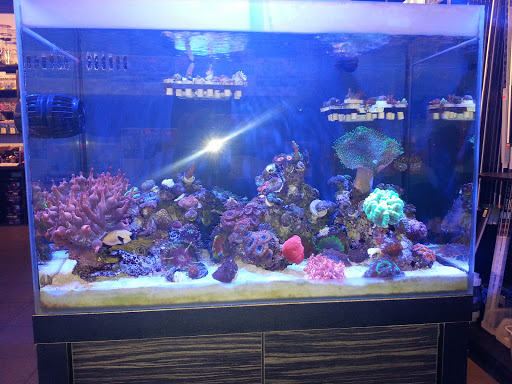 Tropical Fish Store «World Wide Corals», reviews and photos, 11765 S ...