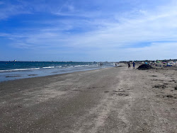 Spiaggia degli Alberoni | Veneto, Italia - caratteristiche dettagliate ...