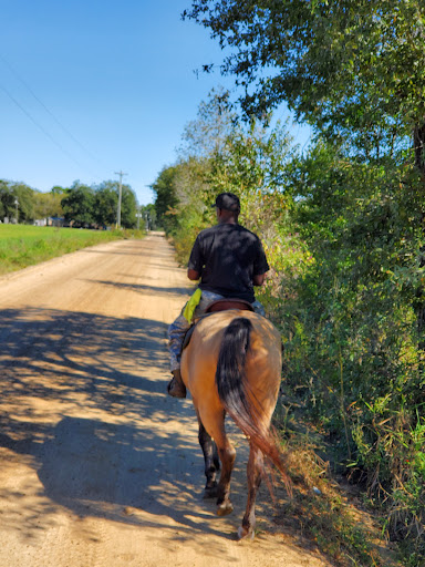 Thomas Ranch | Ride The Horse