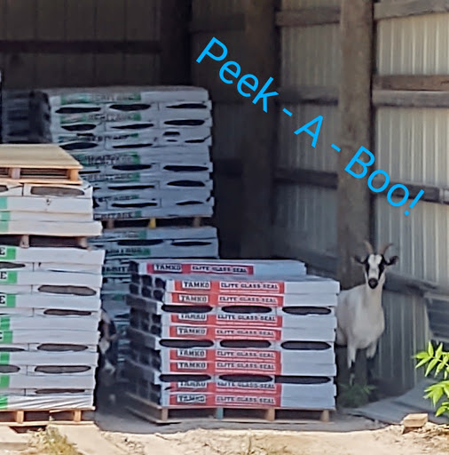 Williams Lumber Supply - AZexplained