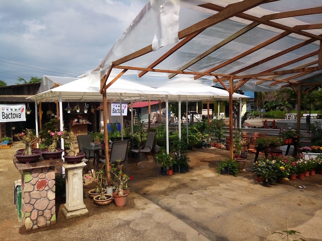 Jualpokok.com di bandar Merlimau