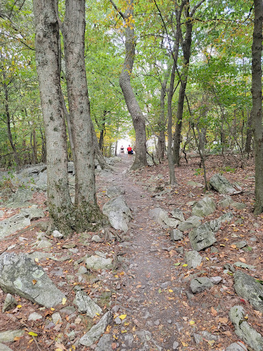 Pulpit Rock And The Pinnacle Loop