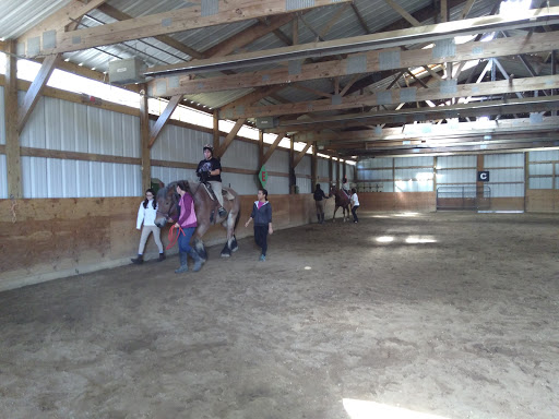 Great Strides Long Island - Therapeutic Horse Riding & Horseback Riding ...