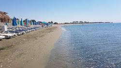 Mazotos beach 🏖️ Cyprus, Cyprus - detailed features, map, photos