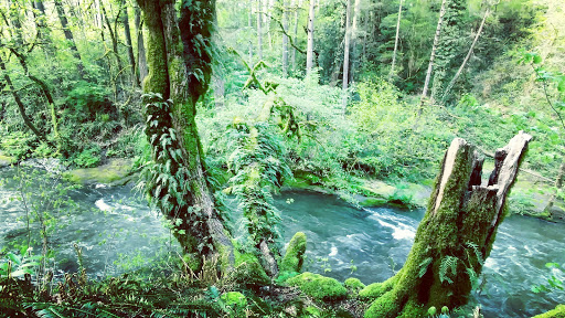 American Football Field «Doc Harris Stadium», reviews and photos, 1125 ...