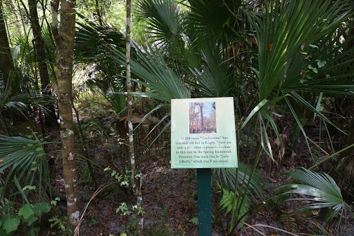 Park «Big Tree Park», reviews and photos, 761 General Hutchison Pkwy ...