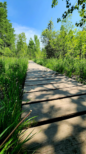 Bender Park Hiking Trail