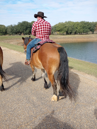 Texas Rose Horse Park | Ride The Horse