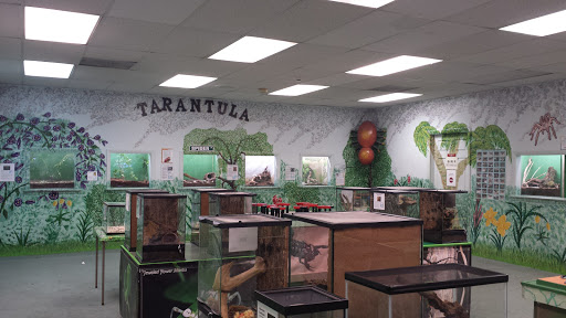 Museum «Philadelphia Insectarium and Butterfly Pavilion», reviews and ...