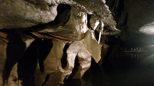 Tourist Attraction «Bluespring Caverns Park», reviews and photos, 1459 ...