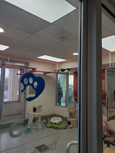 MSPCA At Nevins Farm in Methuen, Massachusetts - Zaubee