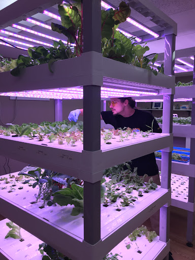 Second Chances Farm - AZexplained