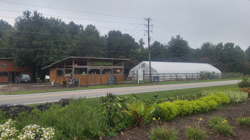 LL Urban Farms - AZexplained