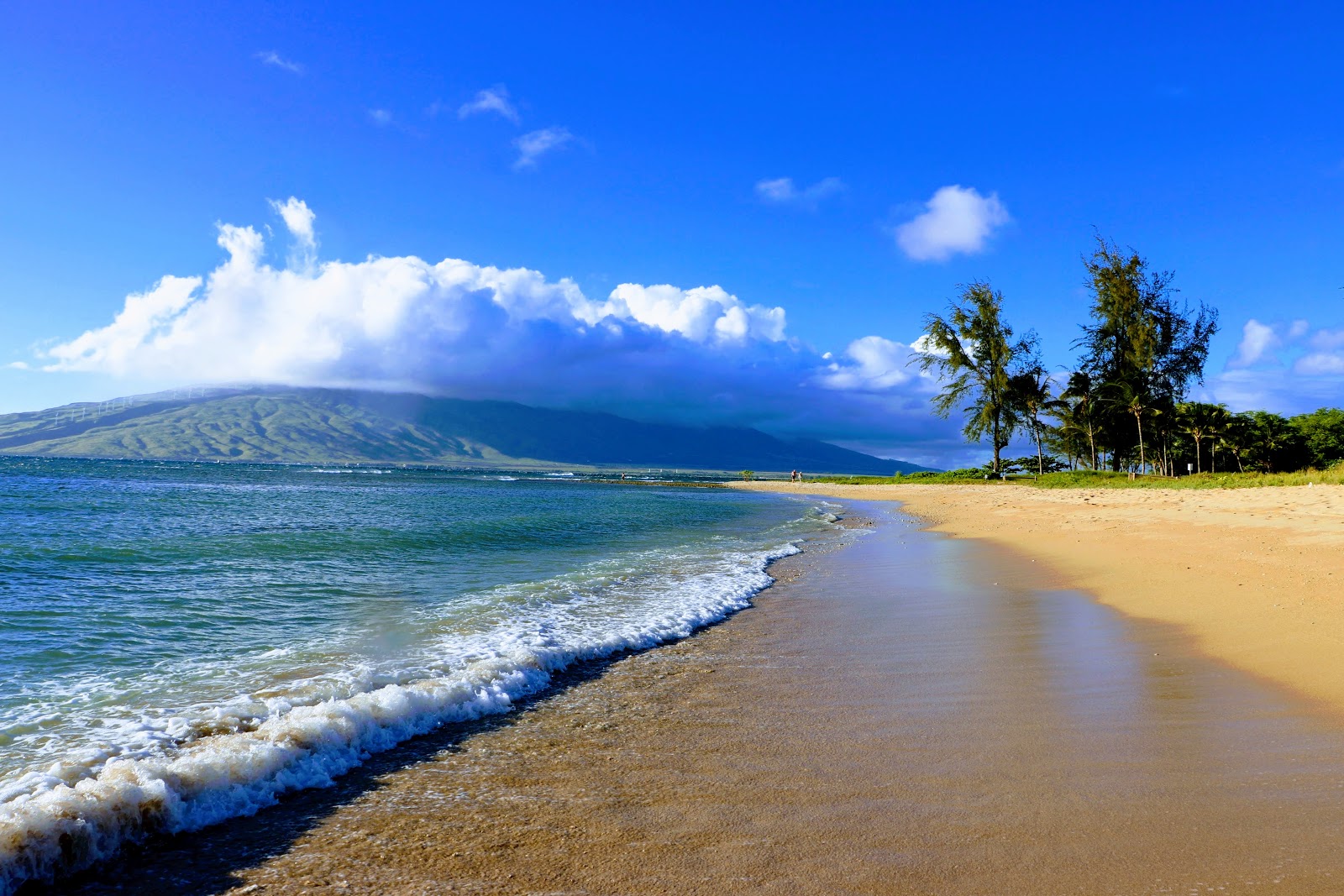 Lipoa Street Beach 🏖️ Maui-Insel, Vereinigte Staaten von Amerika ...