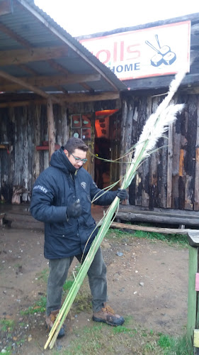 3 opiniones de Gringo Rolls (Restaurante) en Coronel (Biobío)