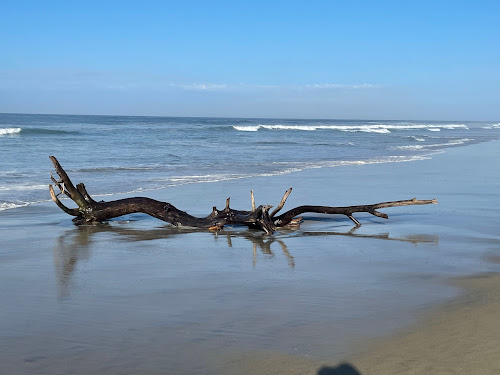 Playa El Tomatal 🏖️ Oaxaca, Mexico - detailed features, map, photos
