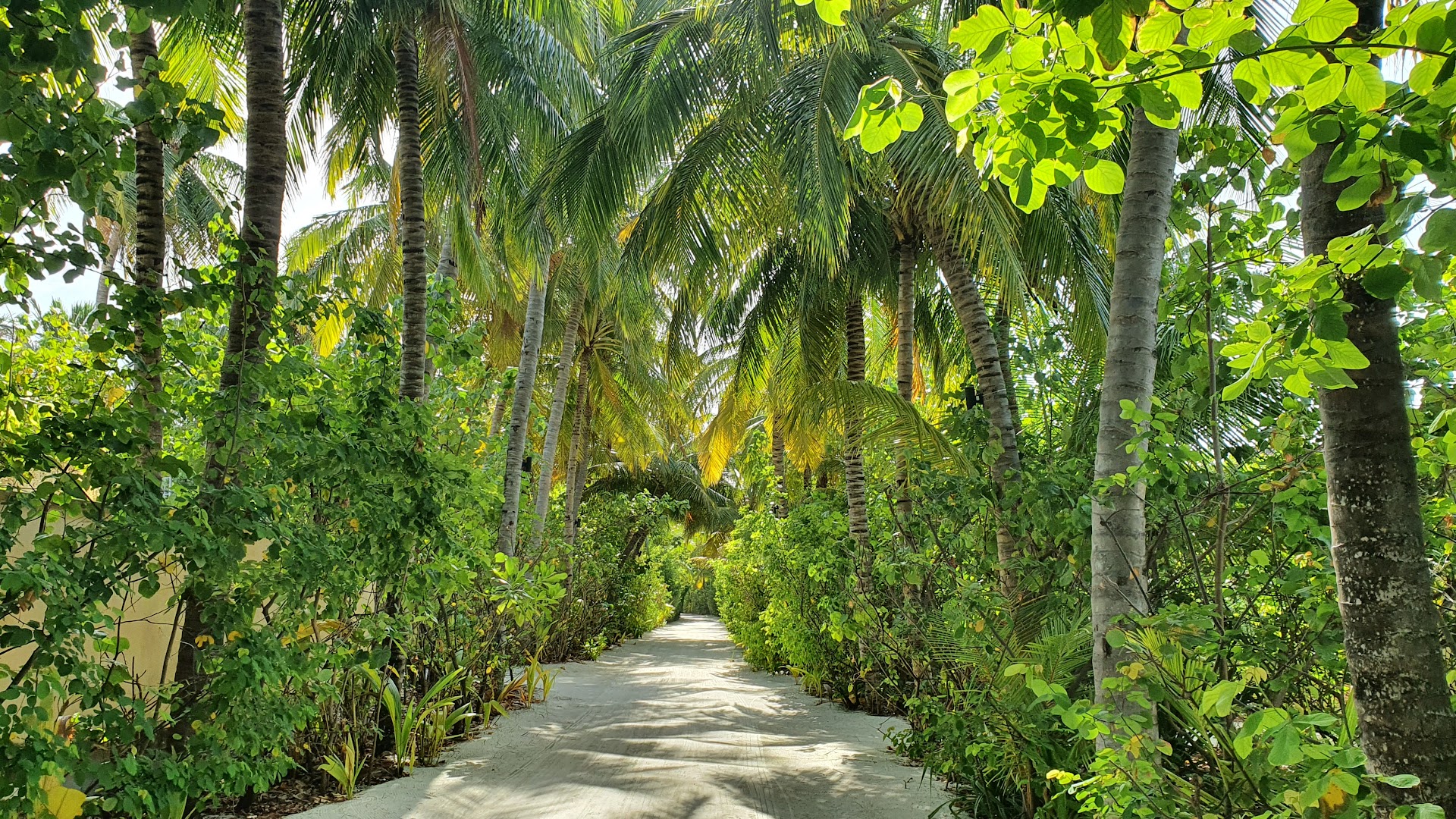 Helengeli - reviews,open hours,photo spots,things to do | WanderBoat AI ...