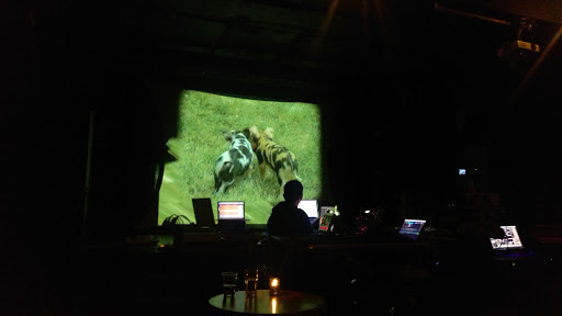 Night Club «Re-Bar», reviews and photos, 1114 Howell St, Seattle, WA ...