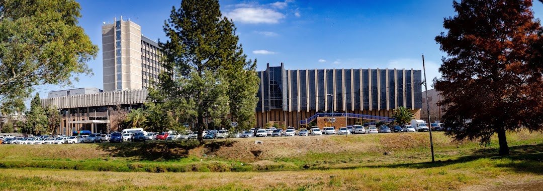 Alberton Library in the city Alberton