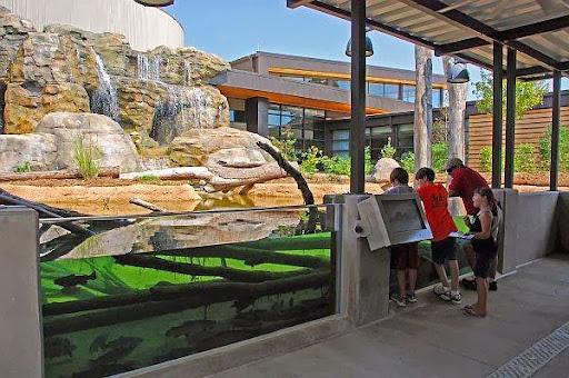 Go Fish Education Center - AZexplained