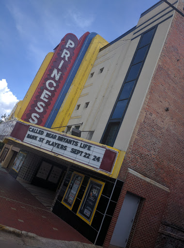 Performing Arts Theater «Princess Theatre», reviews and photos, 112 2nd ...