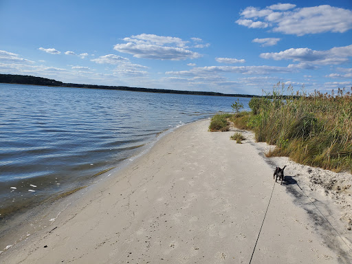 Fenwick Island State Park - AZexplained