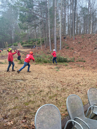 Tree Trimming & Removal Services Decatur, GA | Don's Tree Service