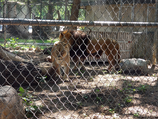 Minot Park District - AZexplained