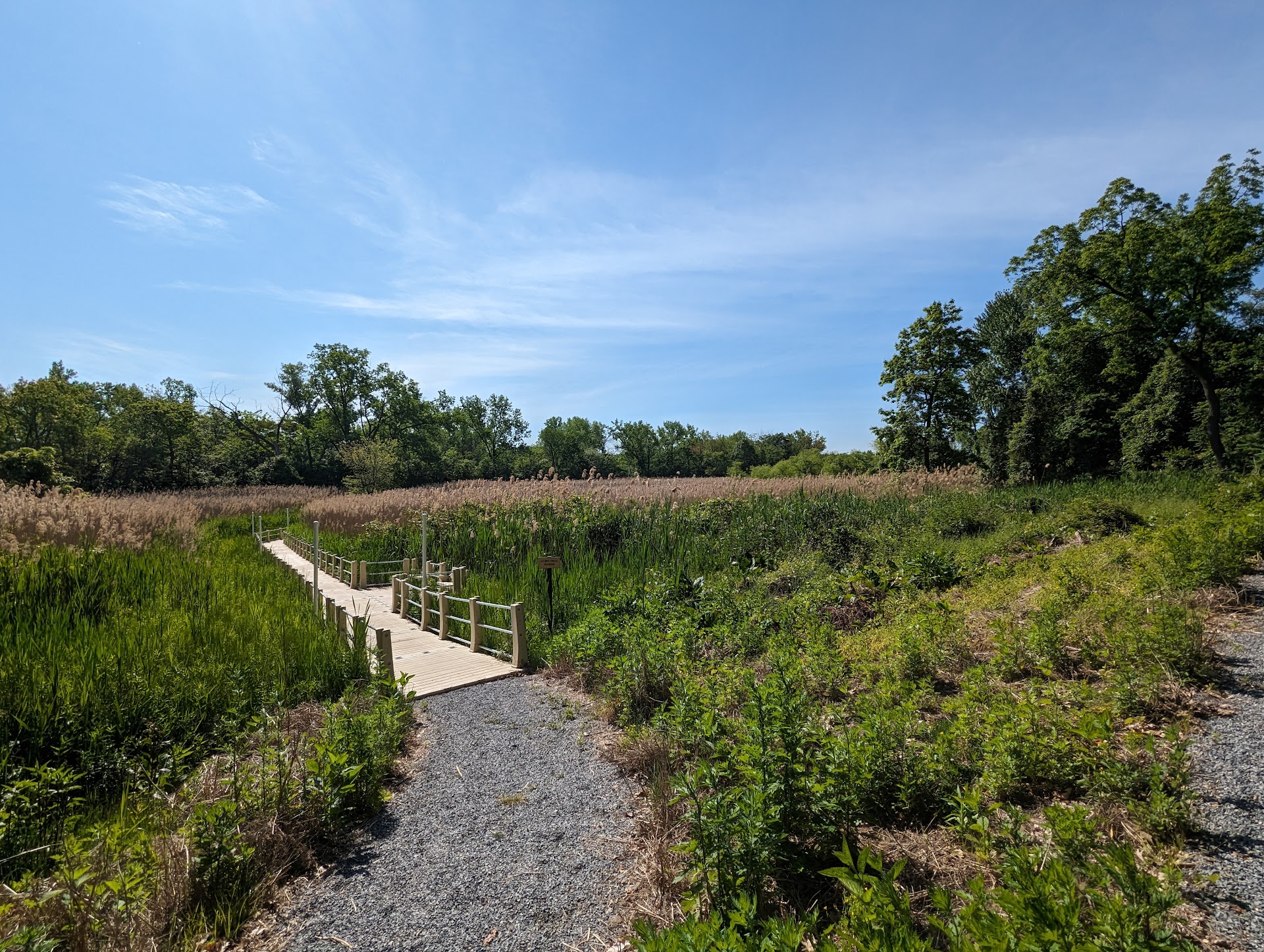 Ridgefield Park Nature Preserve - reviews,open hours,photo spots,things ...