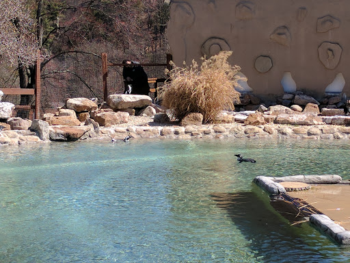 Zoo «Lehigh Valley Zoo», reviews and photos, 5150 Game Preserve Rd ...