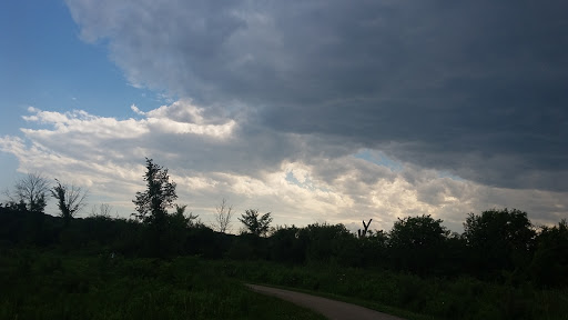 Nature Preserve «Rubio Woods», reviews and photos, W. Midlothian ...