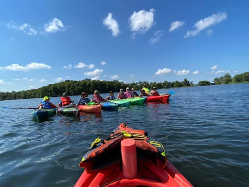 GoGo Rental in Detroit Lakes, Minnesota - Zaubee