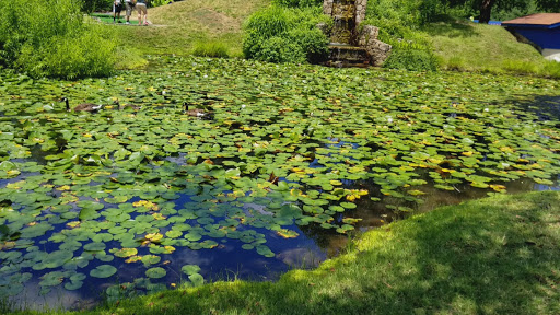 Park «Cameron Run Regional Park», reviews and photos, 4001 Eisenhower ...