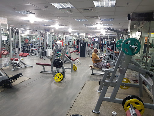 STARK FITNESS | Fitlynk