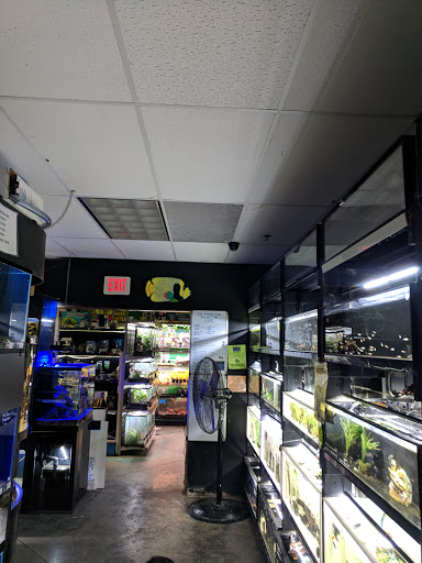 Pet Store «Zoo Creatures Pet Store», reviews and photos, 149 Plaistow ...