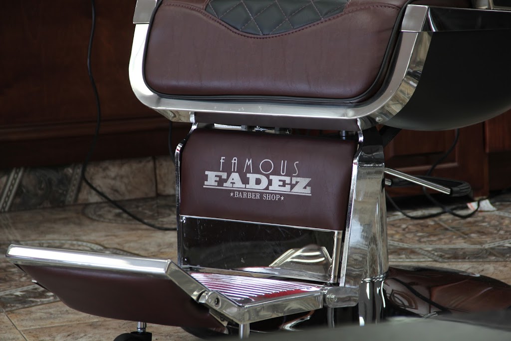 Famous Fadez Schaumburg - Schaumburg, IL 60173 - Services and Reviews