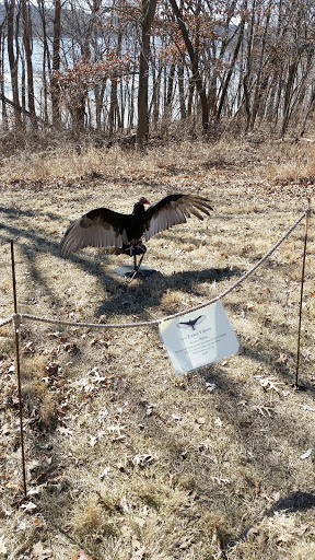 Nature Preserve «Iowa Raptor Center», reviews and photos, 2095 Mehaffey ...