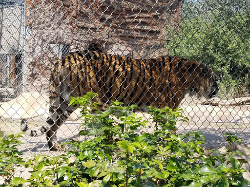 Zoo «Heritage Park Zoological Sanctuary», reviews and photos, 1403 ...