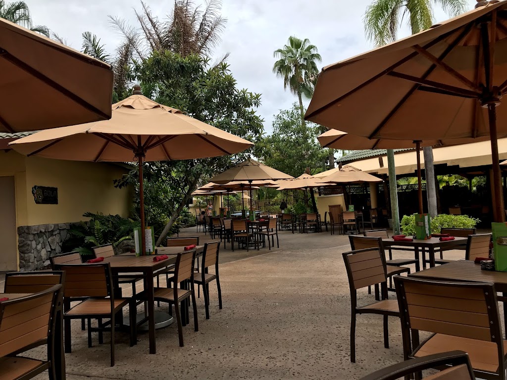 Bula Bar & Grille - Orlando, FL 32819 - Menu, Hours, Reviews and Contact