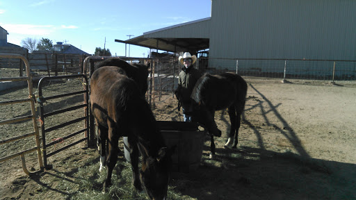 Mountainview Tractor & Equipment - AZexplained